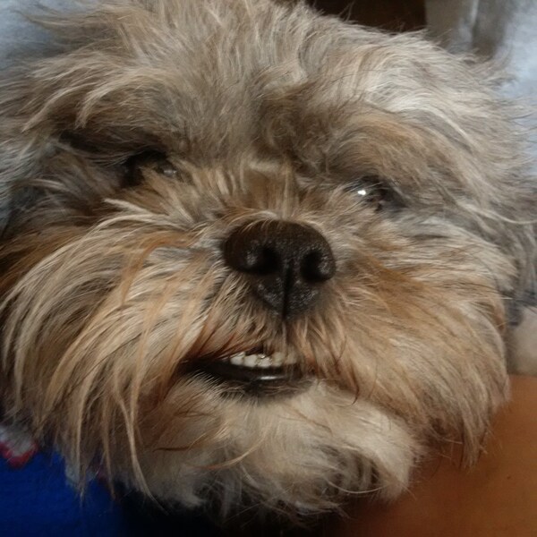 Vintage Snoopy Patches, Vintage ONS Charlie Patches, Vintage Peanuts ...