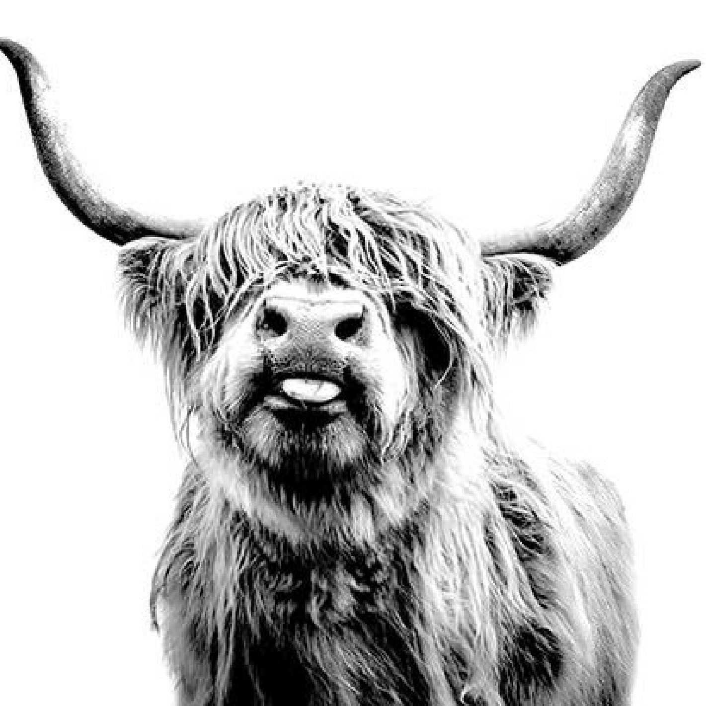 CheekyHighlander - Etsy