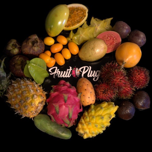 MyFruitPlug - Etsy