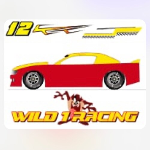 Wild1Racing - Etsy