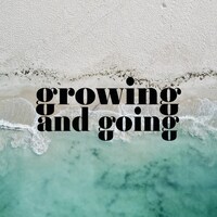 Momala Hat Number 1 Mom Gift Momala Mamala Election Hat Vote Kamala ...