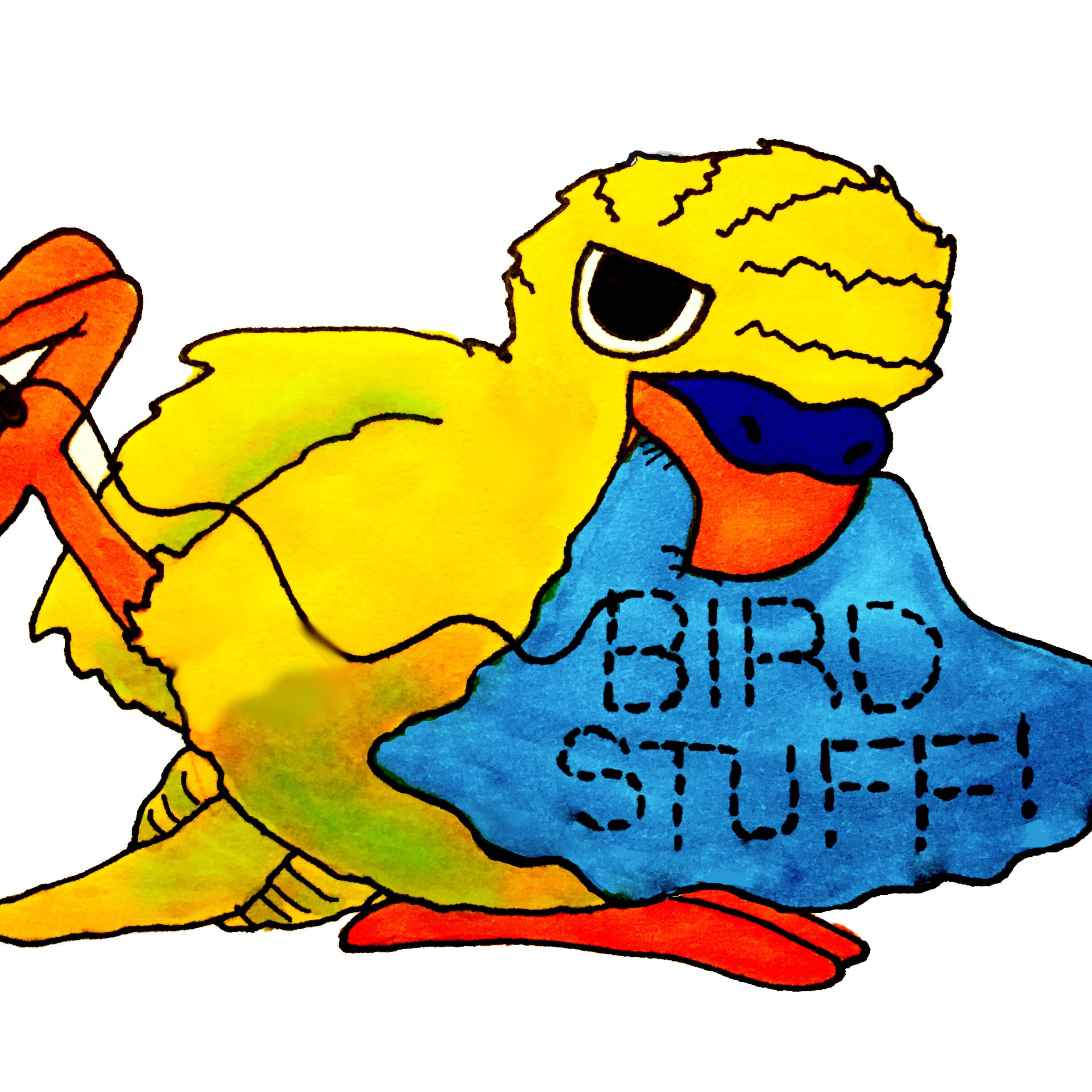 BirdSewsStuff - Etsy