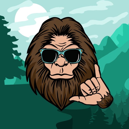 SassySquatchShirtCo - Etsy