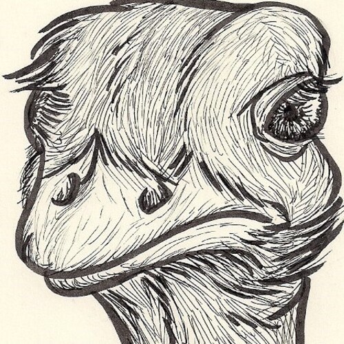 TheAwkwardOstrich - Etsy