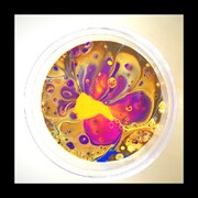 FluidArtsWithNicky - Etsy