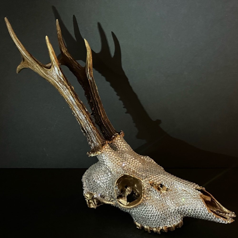 CustomAntlers - Etsy