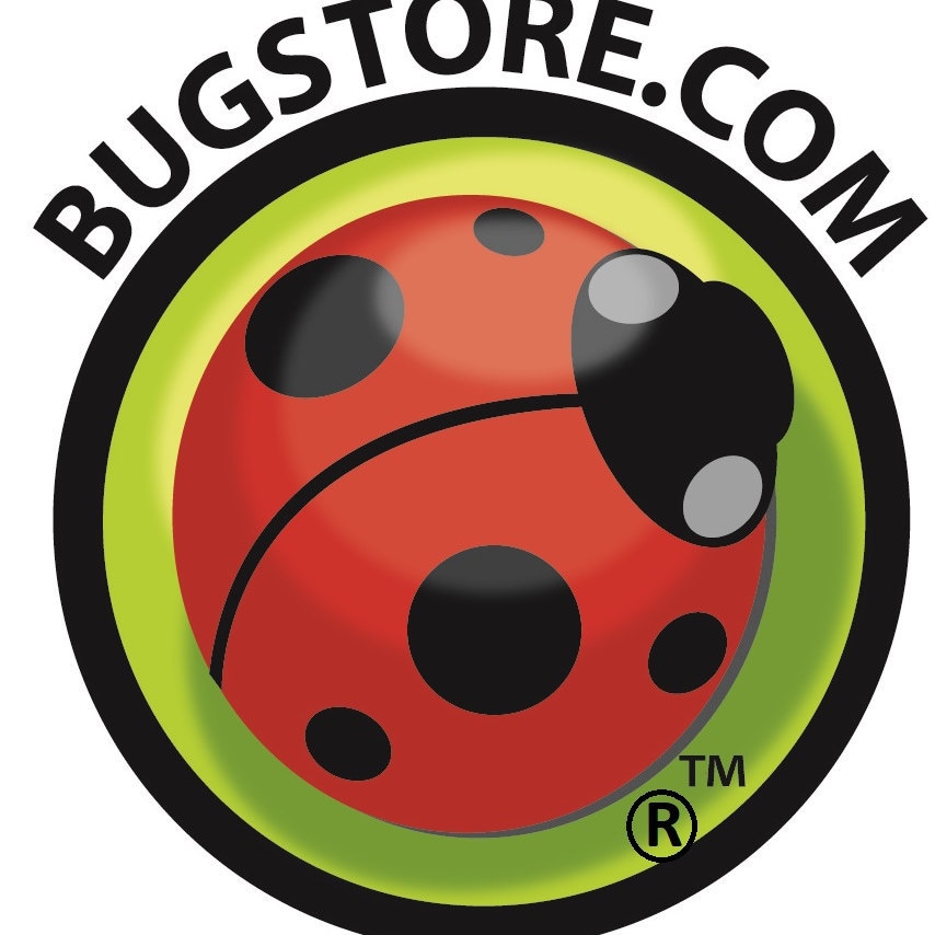 BugStoreDesigns - Etsy