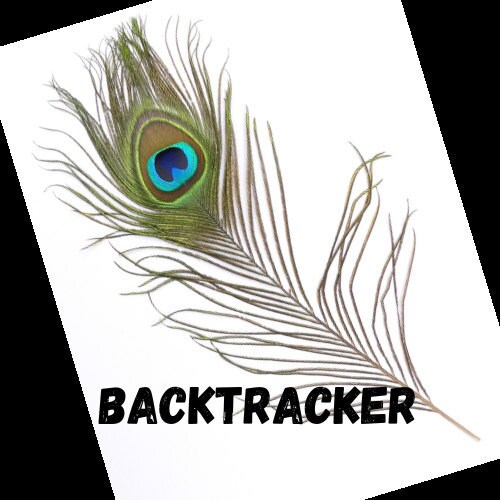 Backtracker - Etsy