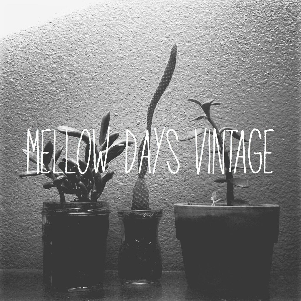 MellowDaysVintage | Etsy