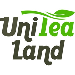White Tea China Pai Mu Tan Unitea Land 100g - Etsy