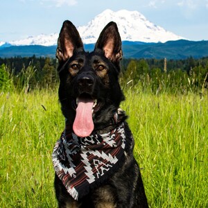 Curriculum Maps for Homeschooling Pre-k-10th Visual Lesson Planning ...