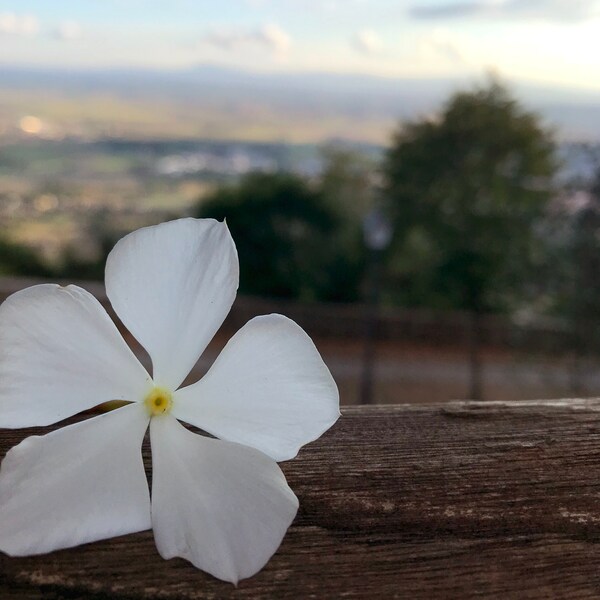 Custom Painted Computer Case - Etsy