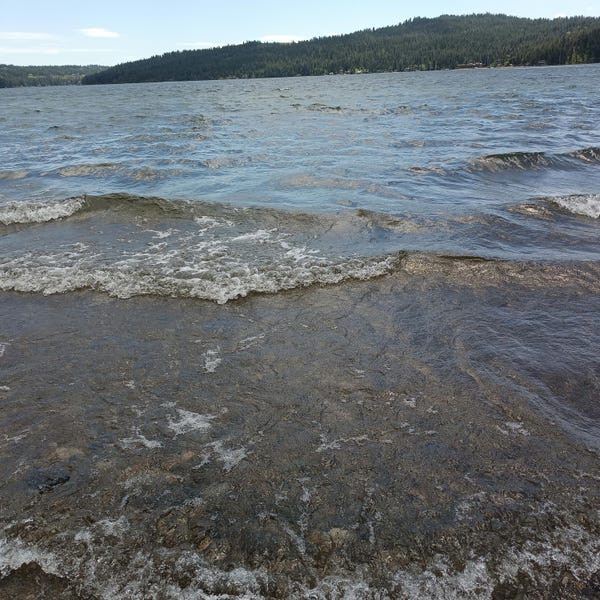 Pine Needle Basket Susie - Etsy