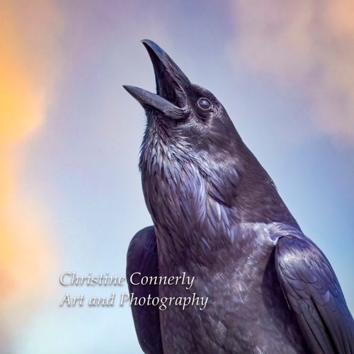 christineconnerly - Etsy