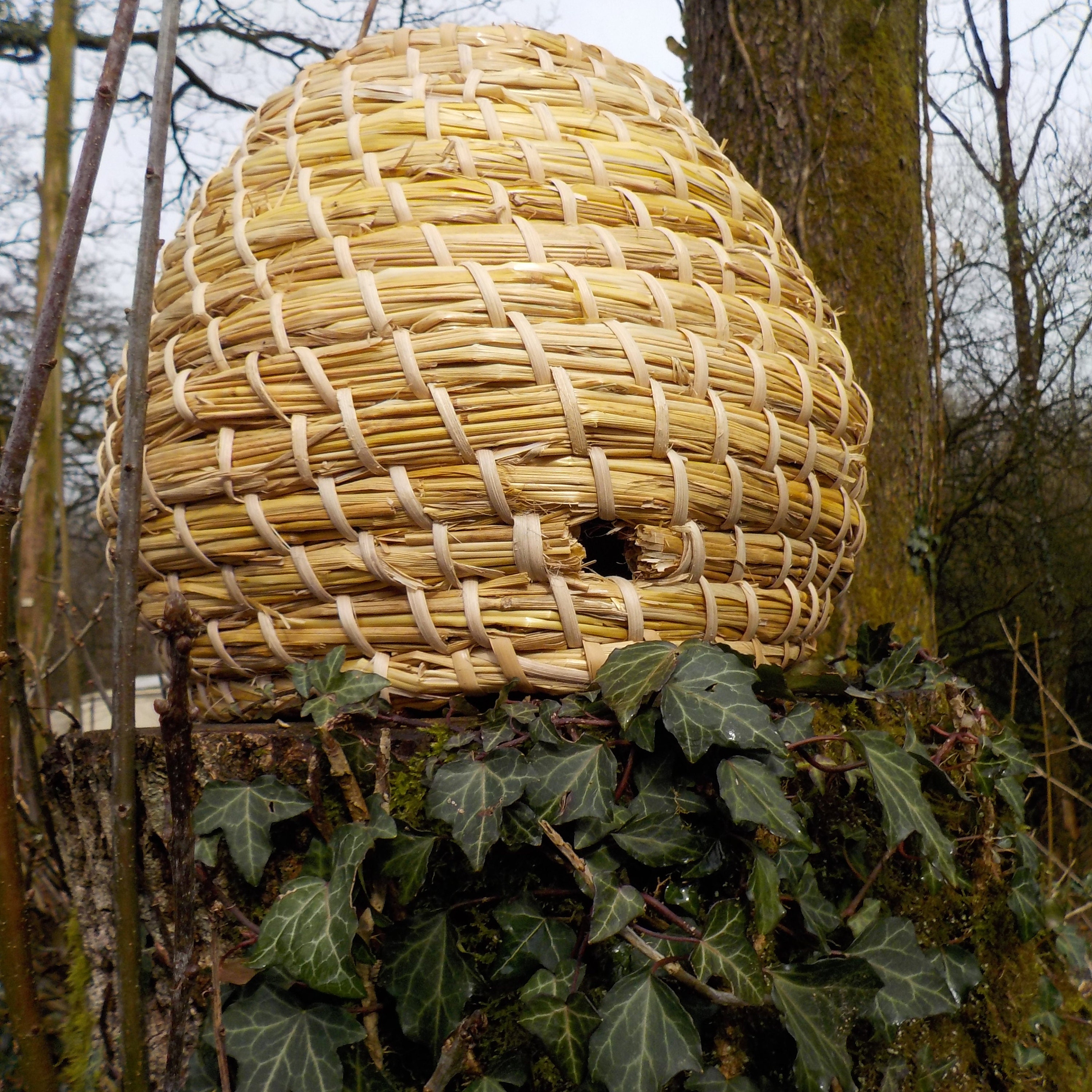 Our Natural Creative Environment by EcolisticArtworks on Etsy