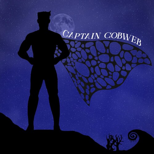 CaptainCobwebStore - Etsy