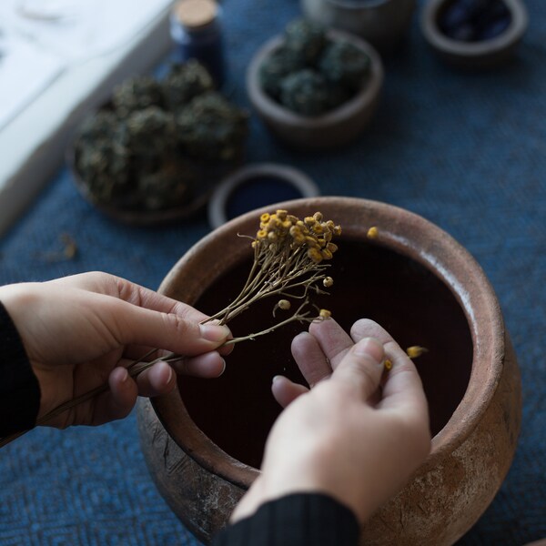 Sappanwood Extract for Bright Red, Crimson, Burgundy and Purple Colors ...