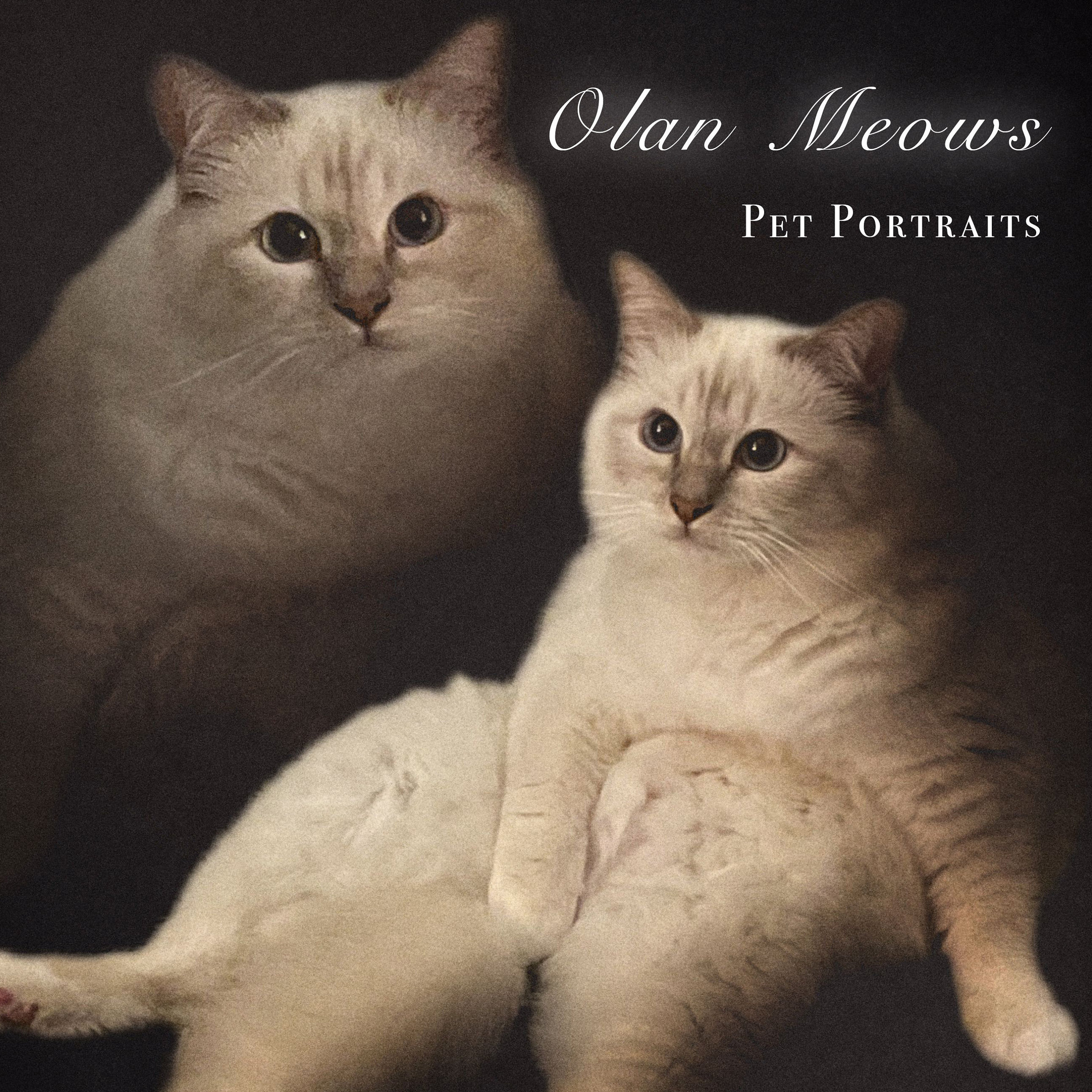 OlanMeows - Etsy