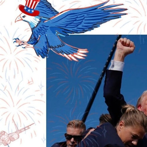 MakeAmericaFunAgain - Etsy