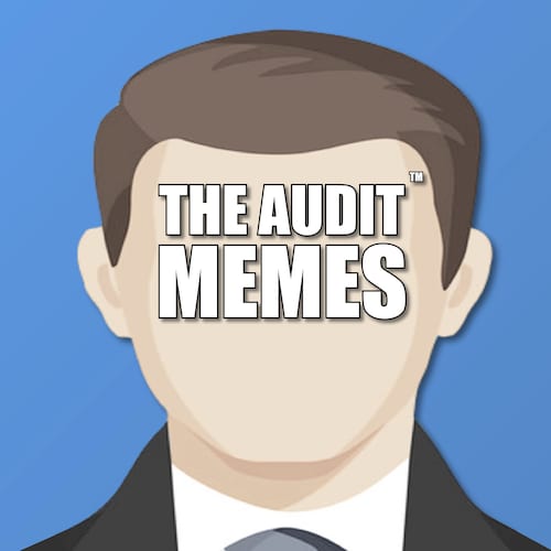 TheAuditMemes - Etsy UK