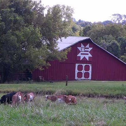 KinnamanFarms by KinnamanFarms on Etsy