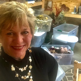 JoycesCreativeDesign - Etsy