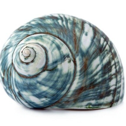 OceanEchoesStudio - Etsy