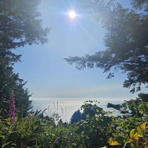 ReflectionsofDoback - Etsy