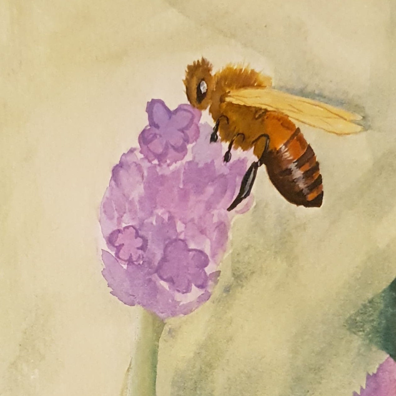 KimHardingArt - Etsy