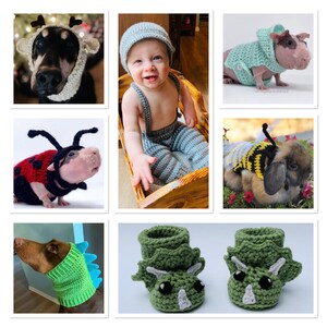 Rabbit Costume, Bumble Bee Costume, Bumble Bee Outfit, Rabbit Clothes ...