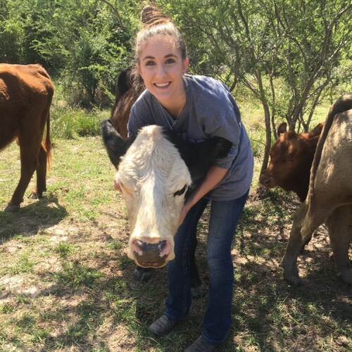 EmilyCheneyArt | Etsy