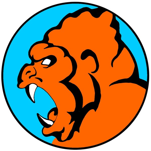 Stressticles Testicle Stress Balls Stocking Stuffer - Etsy