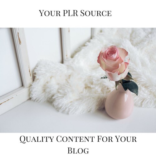 YourPLRSource - Etsy