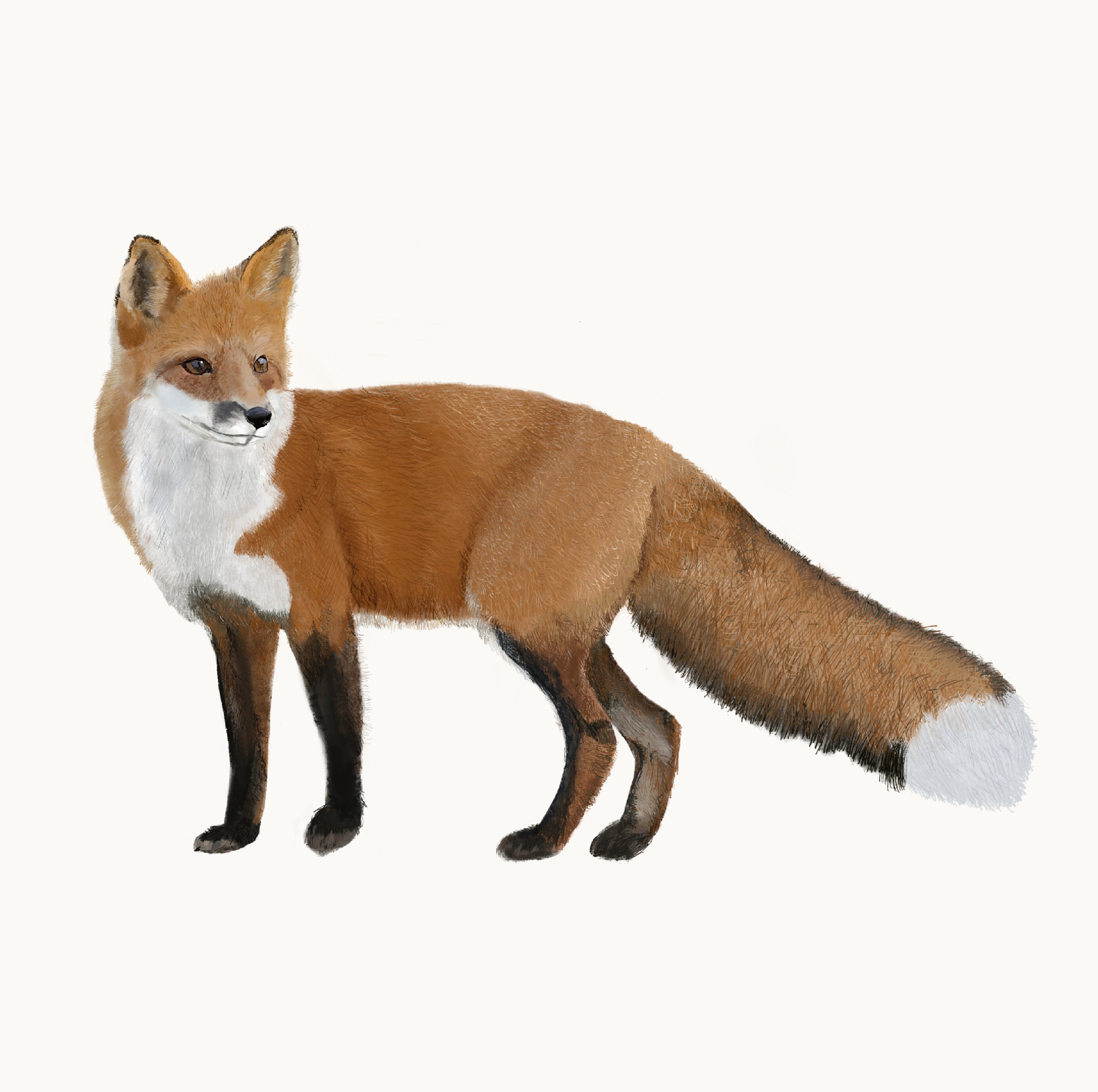 LisaDruryHomeware - Etsy