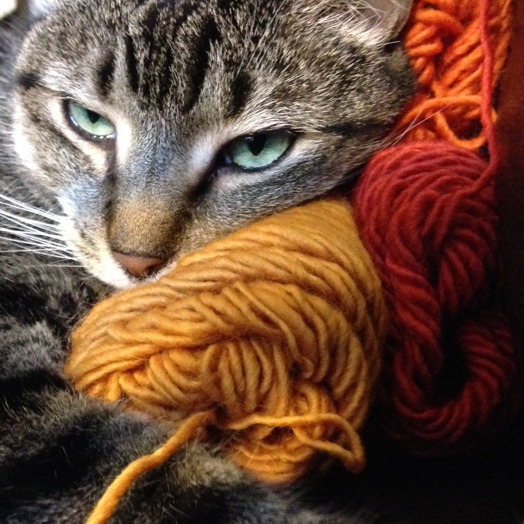 Kimikat - Etsy