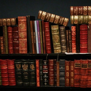 The Lord of the Rings, Rebound in Leather, Tolkien - Etsy