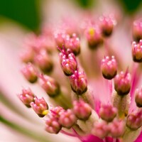 Rocky Mountains Thunderstorm Schwarz-Weiß Fotografie Druck, Storm ...