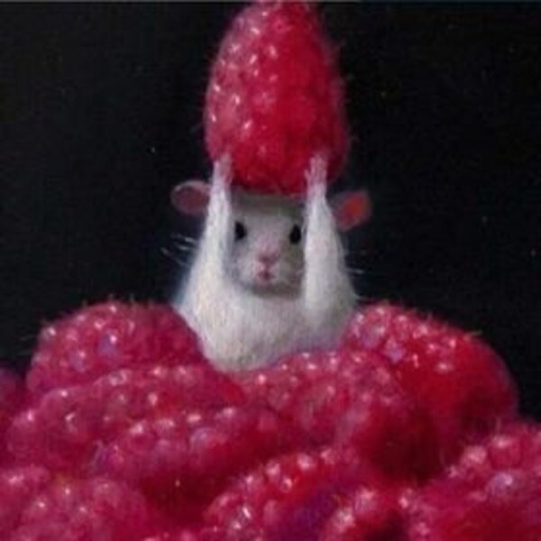 TØP Companions Jason, Ned, Trash, Jim Twenty One Pilots - Etsy