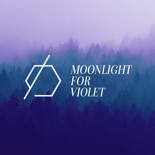 MoonlightForViolet - Etsy