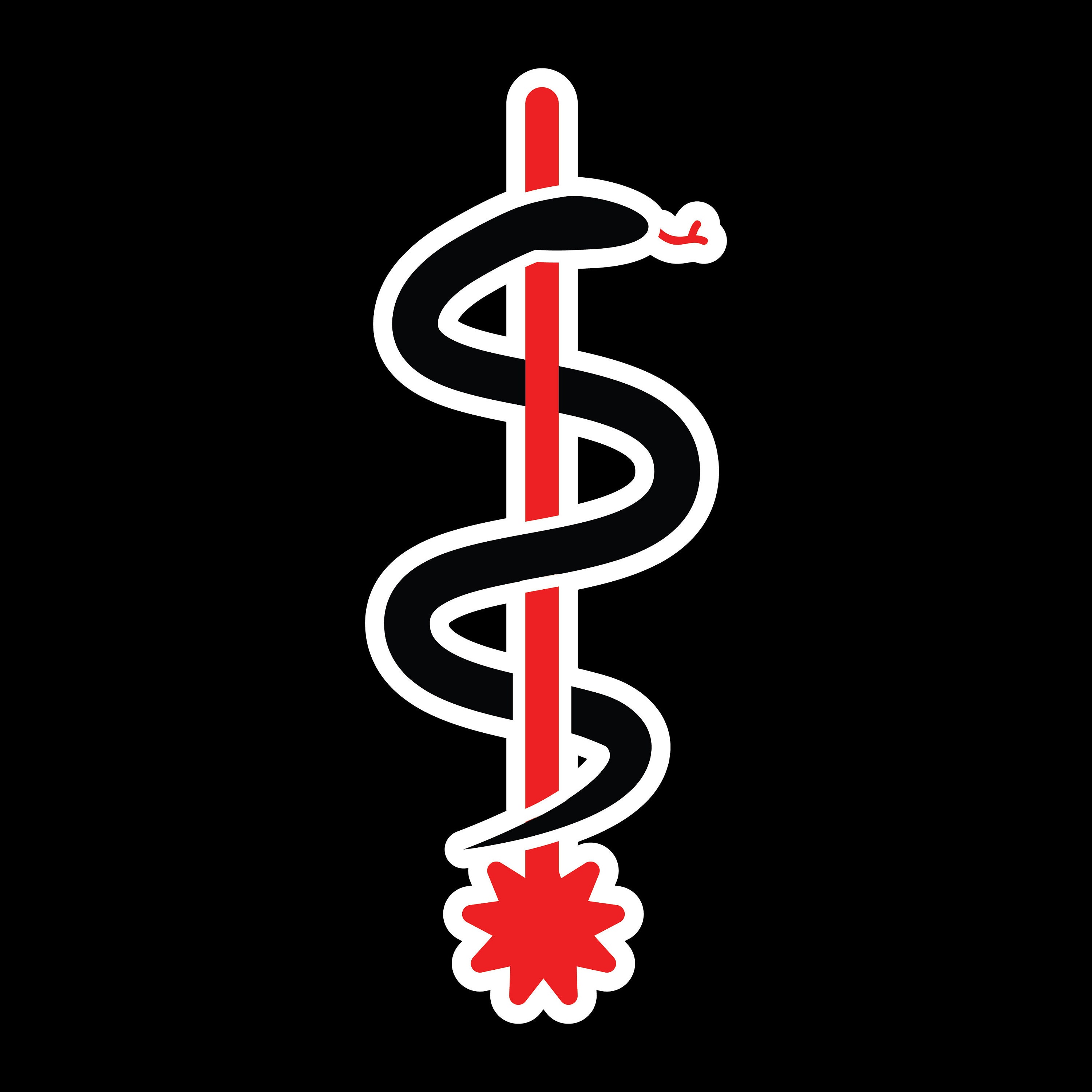 lasersnakeemporium - Etsy