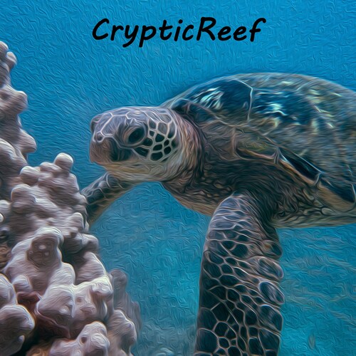 CrypticReef - Etsy