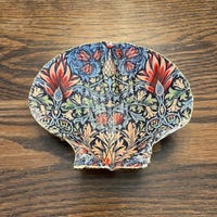 Rose Murex From Sanibel Marco 10k Island Shell Art Craft Projects ...