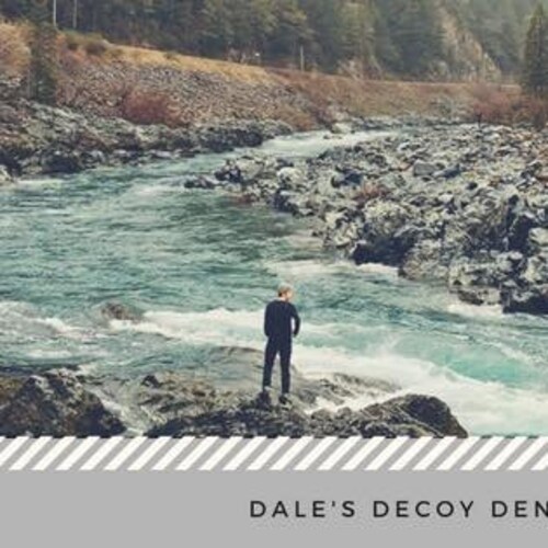 DalesdecoydenShop - Etsy