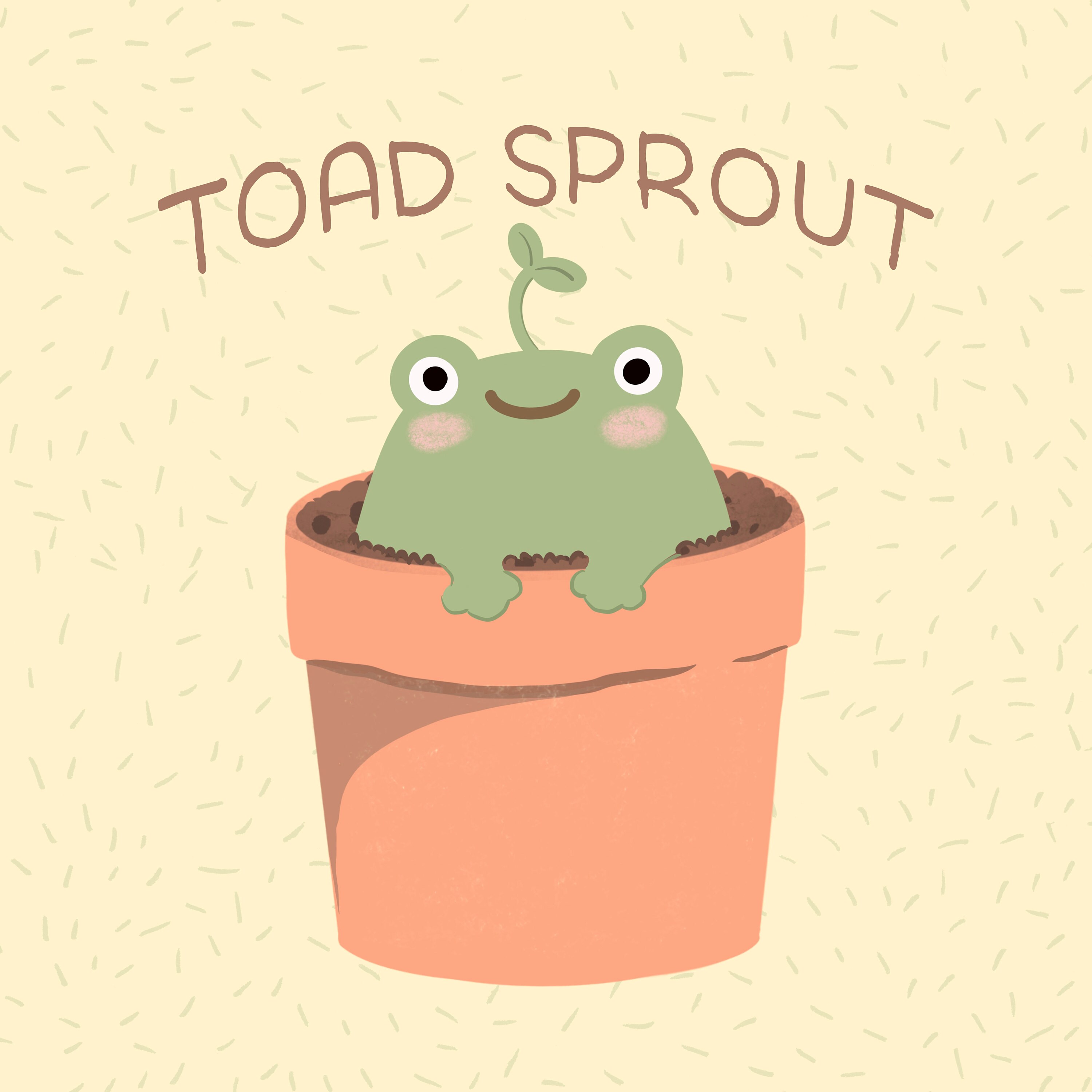 ToadsproutStudio - Etsy