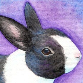 FaerieGardenFancies - Etsy