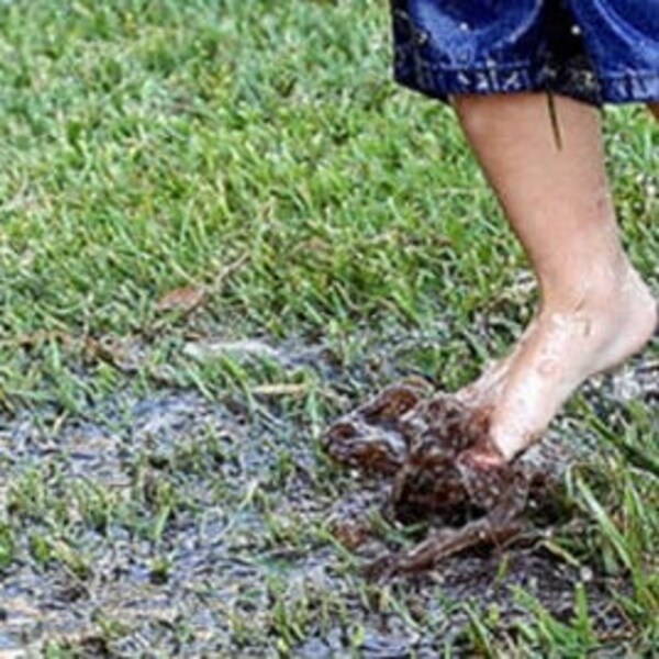 MuddyToesMats - Etsy