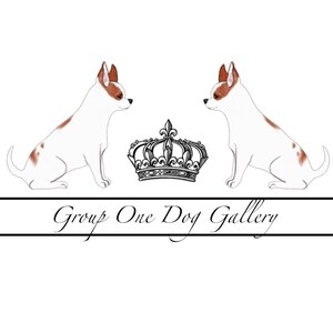 Dog Show Training Stack Box Toy Adult Size Stack Training 20 X 12 ...