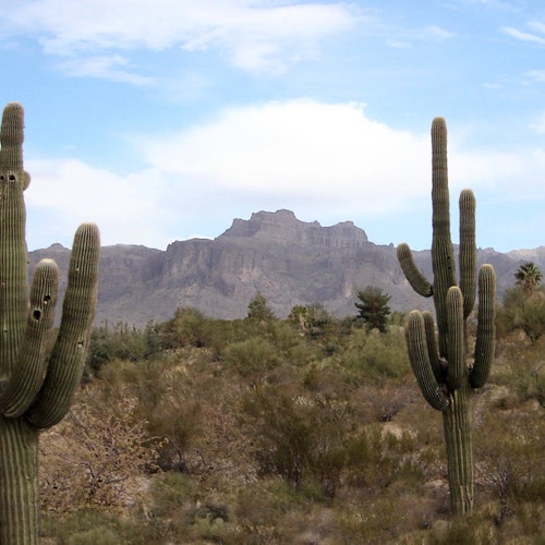 angelsgarden0 - Etsy