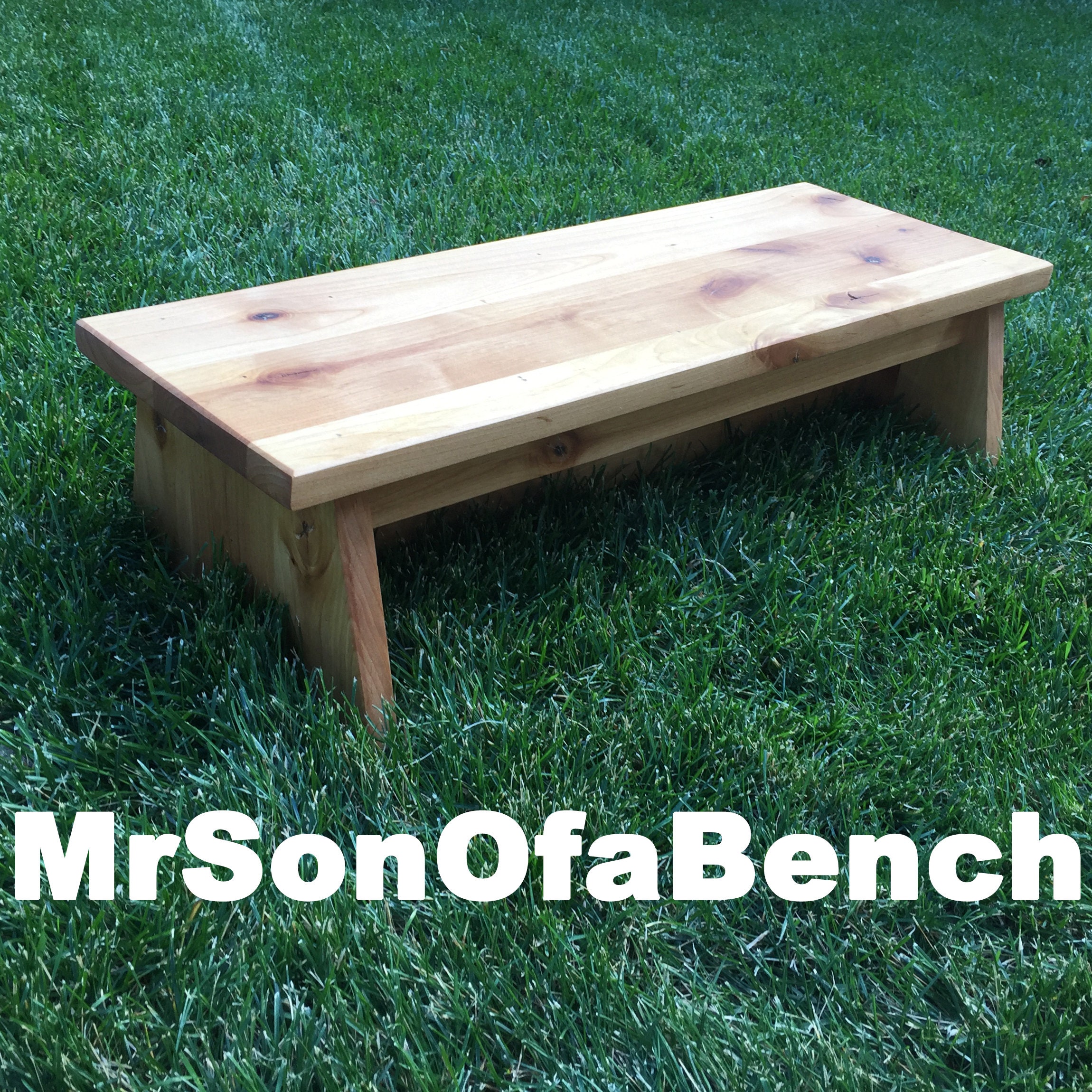 MrSonOfaBench - Etsy