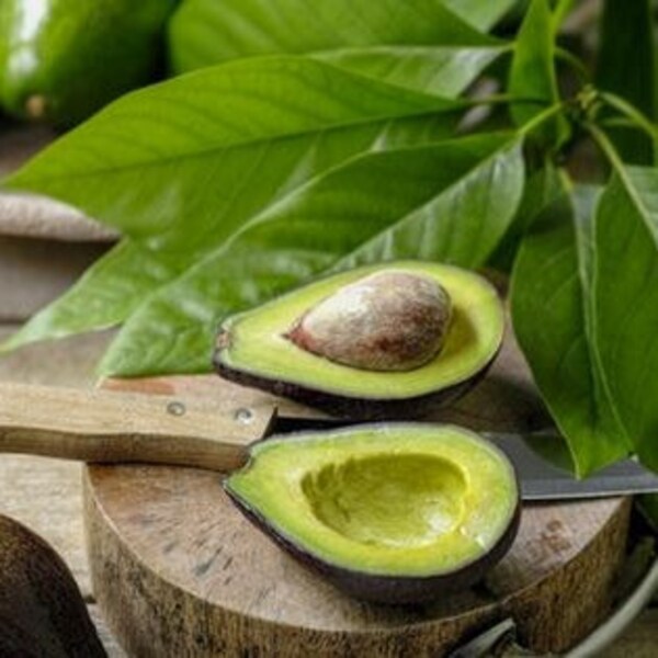 Secret assistant to the Regional Manager the Office T-shirt, Funny ...